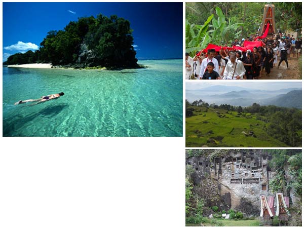 TRANS SULAWESI TOUR 16 DAYS / 15 NIGHTS - Orientcelebes